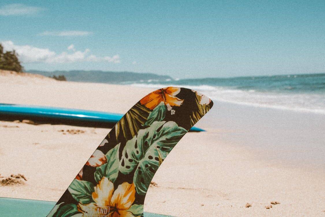 Airbus Boeing Visual Differences Easy Tips To Tell Them Apart Airspace Coordination